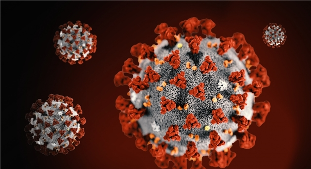 COVID-19 enfeksiyonundan korunmada ilaç kullanımı hakkında Türk Toraks ...